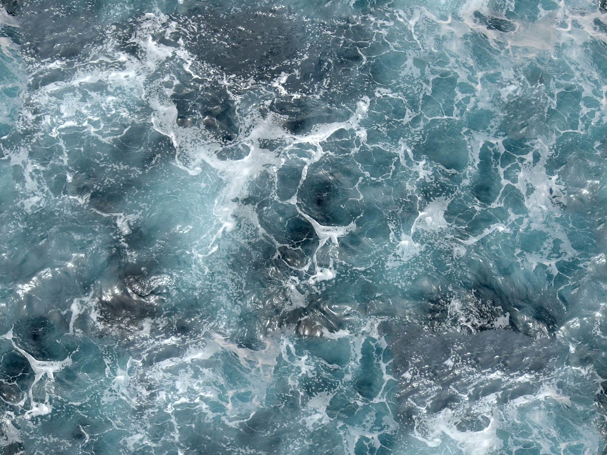 05_DIFFUSE » RCSCC AMPHION